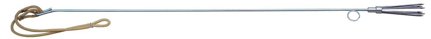 Foène avec élastique et tête 6 dents - Imersion