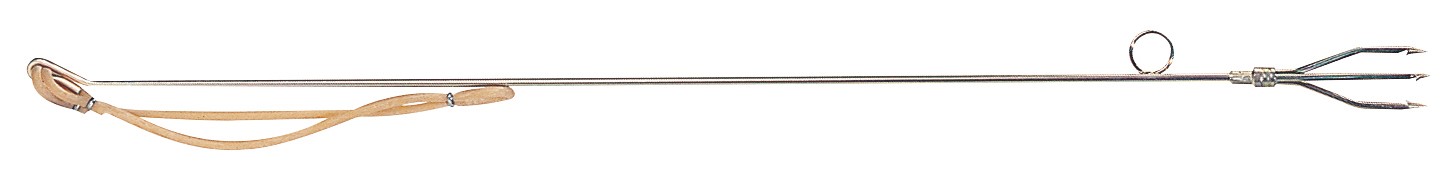 Foène Petit Modèle élastique - Imersion